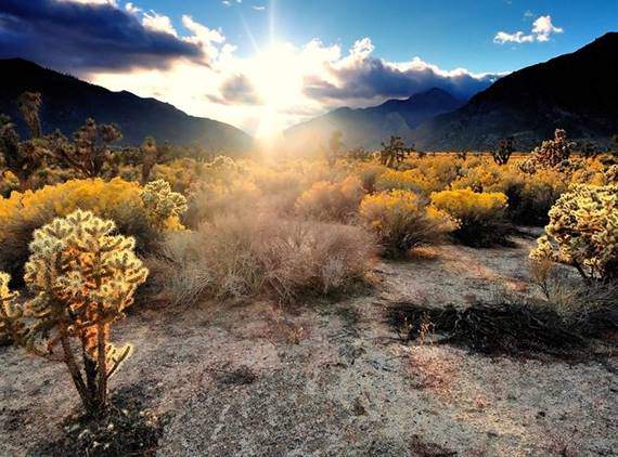 Sững sờ ngắm nhìn 10 sa mạc đẹp nhất thế giới