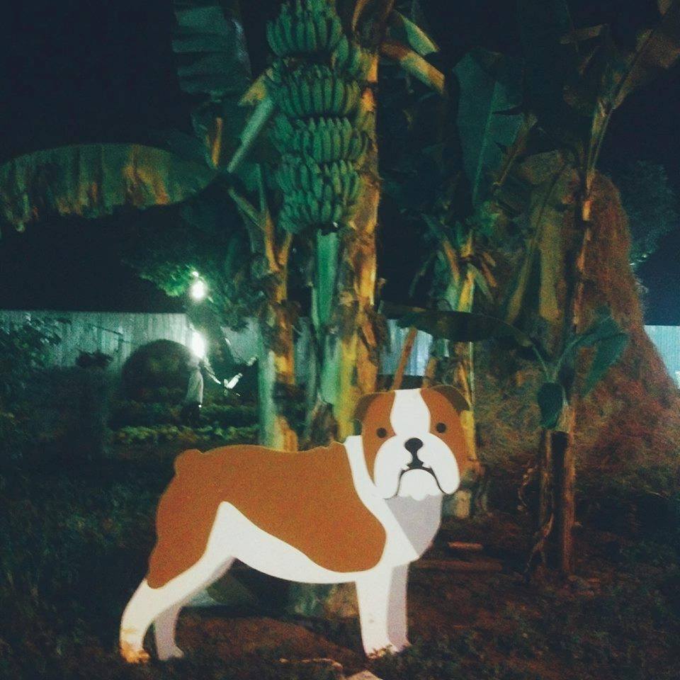 Pikalong, Pika - Gâu chưa là gì, đây mới là những chú Tuất chất chơi ...