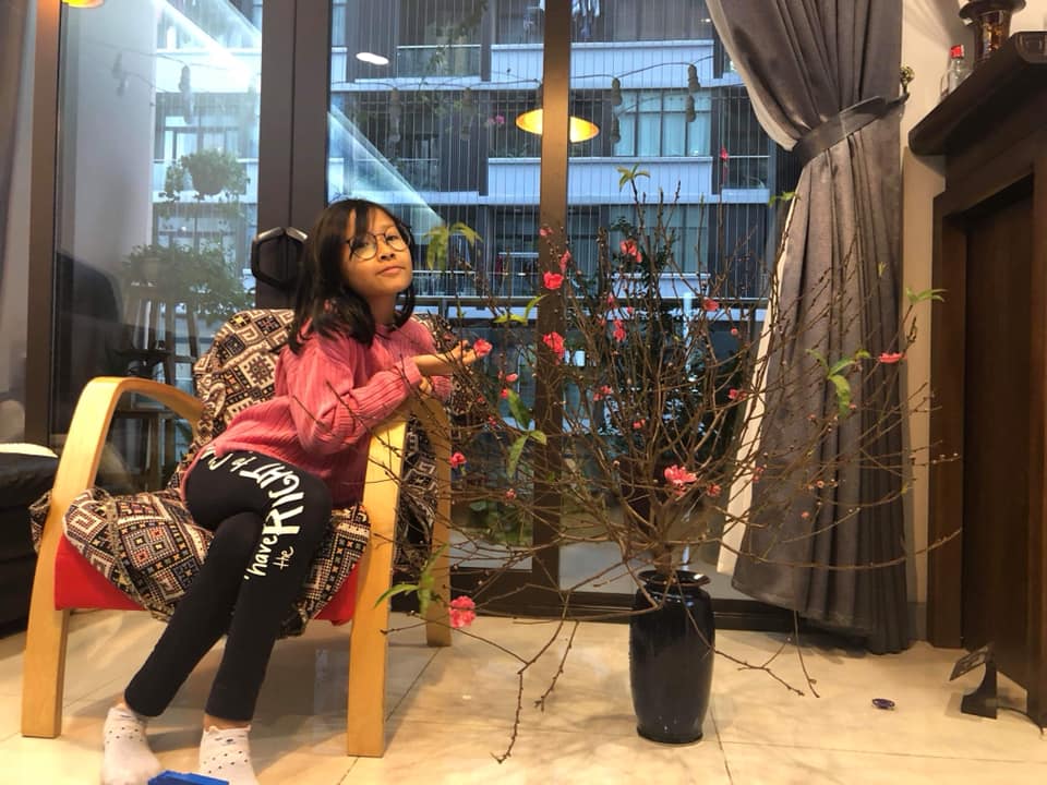 Chưa Tết hoa đào đã cháy hàng vì khách muốn chơi sớm