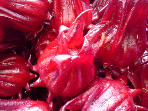 Cách làm Atiso đỏ: Hướng dẫn ngâm hoa Atiso đỏ làm nước uống