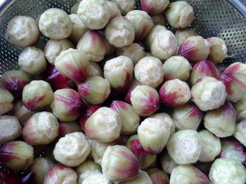 Cách làm Atiso đỏ: Hướng dẫn ngâm hoa Atiso đỏ làm nước uống