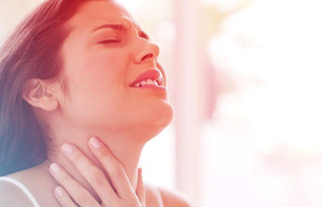 Cây cứt lợn: Tổng quan đặc điểm, công dụng chữa bệnh và cách sử dụng