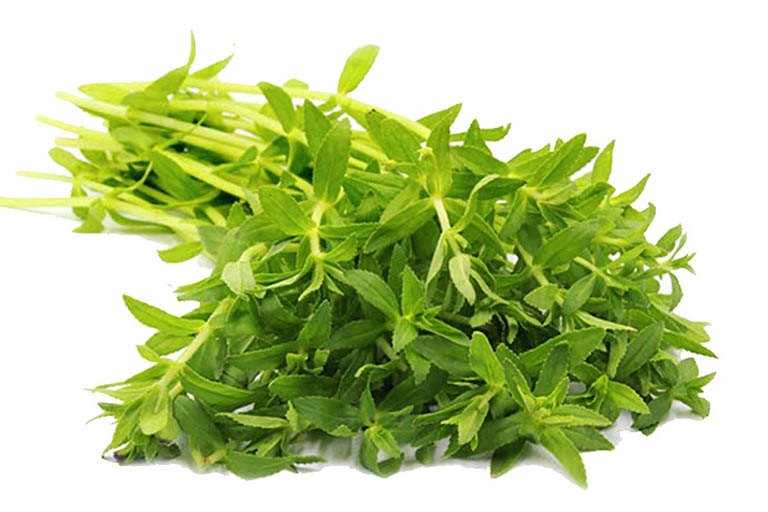 Rau ngò om có tác dụng gì? Rau ngò om trị sỏi thận và tiểu đường như ...