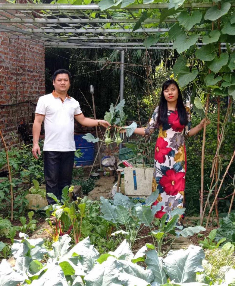 Mẹ đảm Sơn La mách bí quyết pha nước tưới rau 0 đồng, được vườn xanh ...