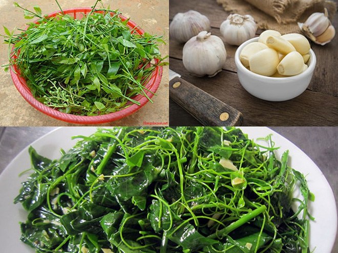 6 loại rau rừng ở Việt Nam giá đắt vẫn được lùng tìm, có tiền chưa chắc ...