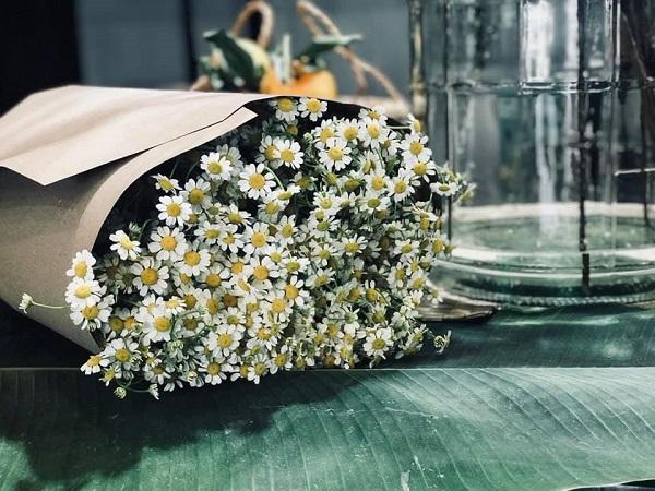 Ý nghĩa hoa Cúc Tana và cách cắm hoa đẹp nhất