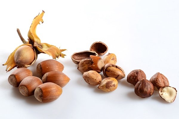 Hạt phỉ là hạt gì? Tác dụng đặc biệt của hạt phỉ và những ai nên ăn hạt phỉ