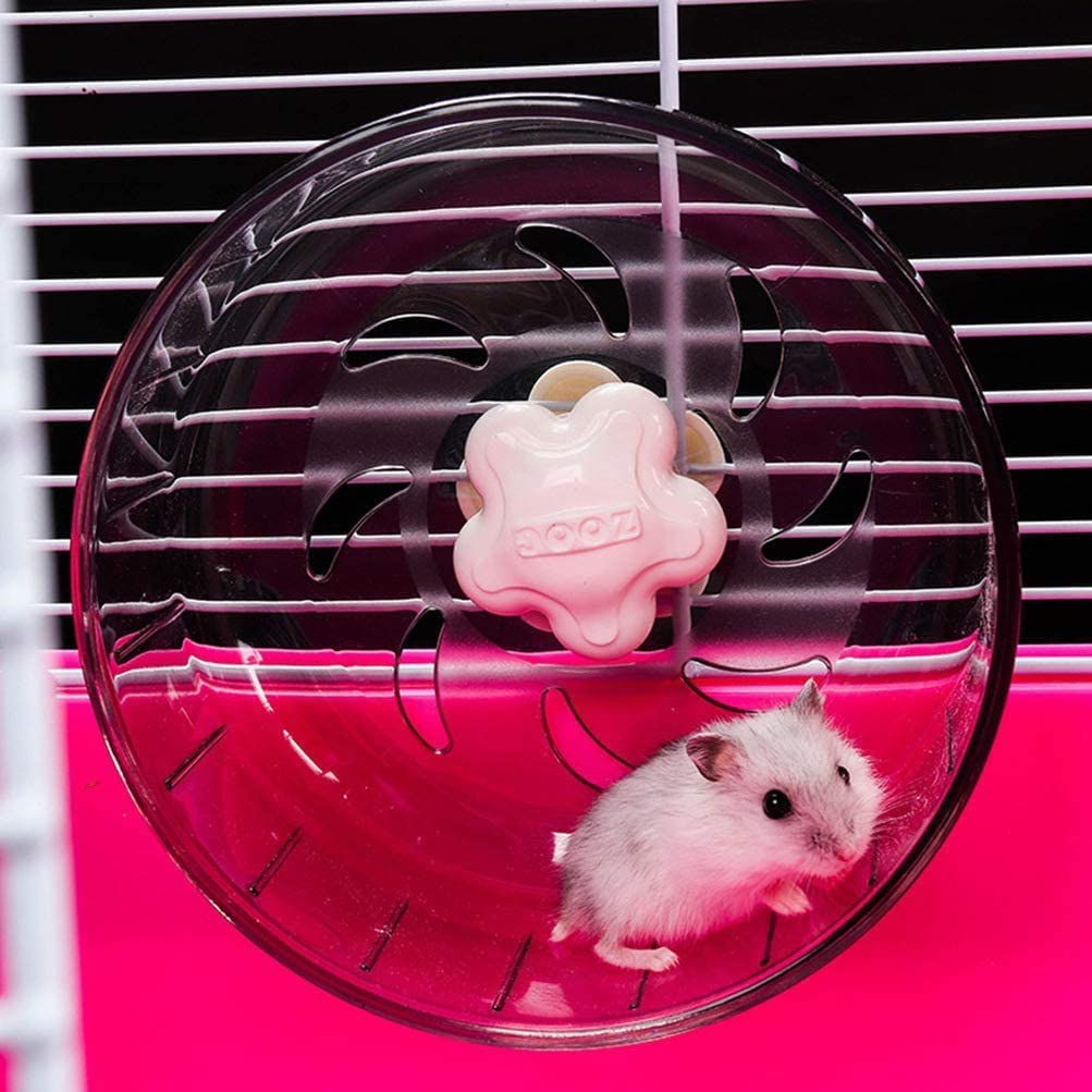 Chuột Hamster - Phân loại, giá bán và cách chăm sóc chuột đẹp khỏe mạnh