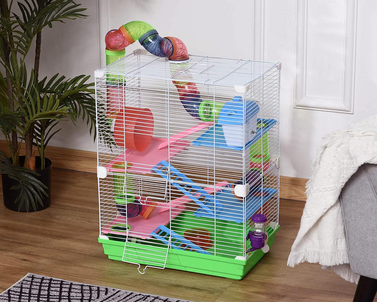 Chuột Hamster - Phân loại, giá bán và cách chăm sóc chuột đẹp khỏe mạnh