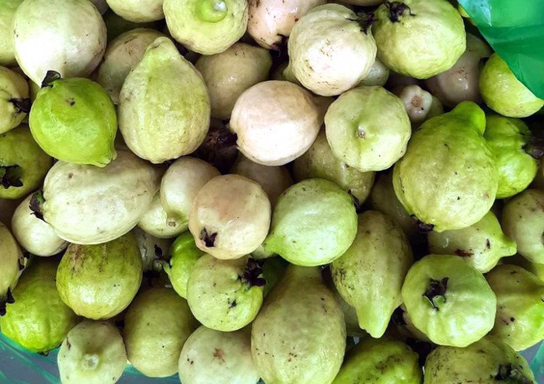 Loại quả xưa chín rụng đầy vườn, giờ thành đặc sản được chị em săn lùng ...