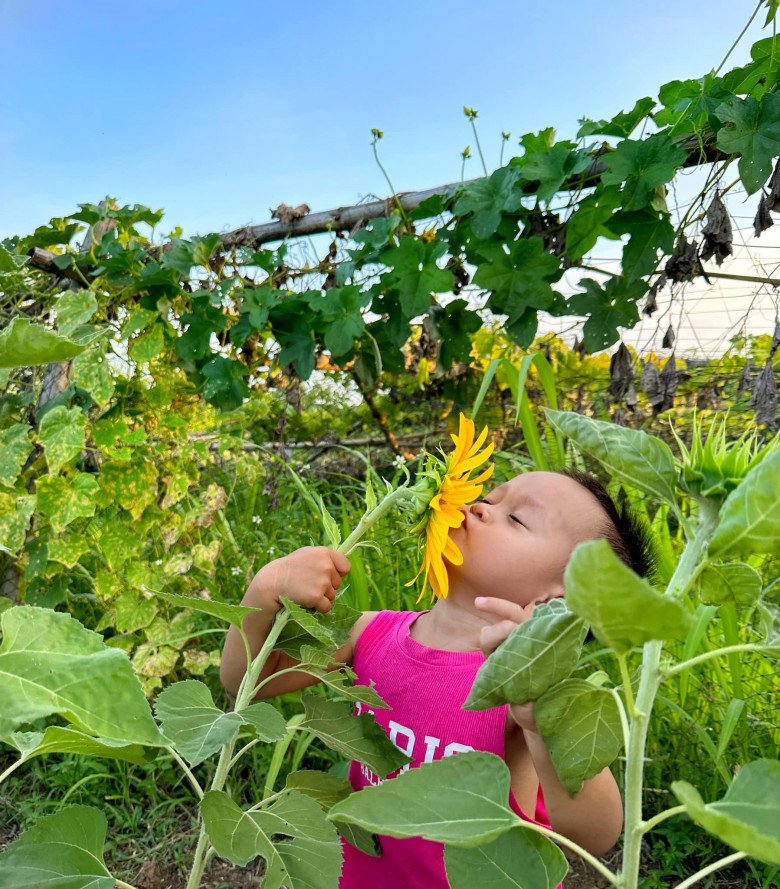 Bán nhà mặt phố dọn về nơi vắng vẻ, đôi vợ chồng 9X biến đất hoang rộng 3.000m2 thành khu vườn ...