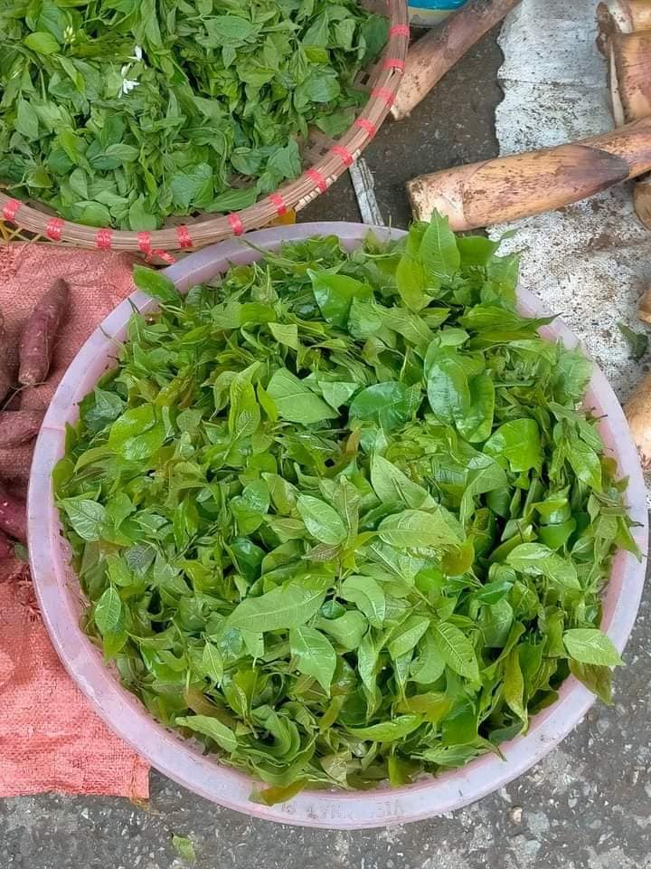 Loại rau dại xưa toàn nhổ vứt đi, cho trâu ăn, nay thành đặc sản lạ dân ...