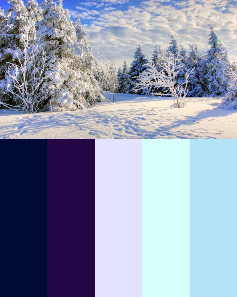 Personal color là gì? Vì sao bạn cần tìm ra màu cá nhân của riêng mình?