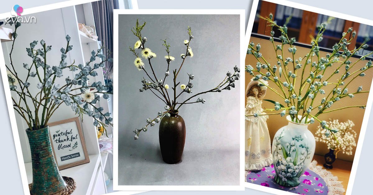 Nở rộ trào lưu cắm hoa ô mai: Trưng bền cả tháng, thơm dễ chịu giúp thư ...