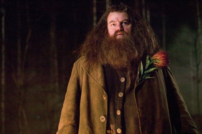 Bác Hagrid qua đời, cả showbiz và dàn sao Harry Potter khóc thương