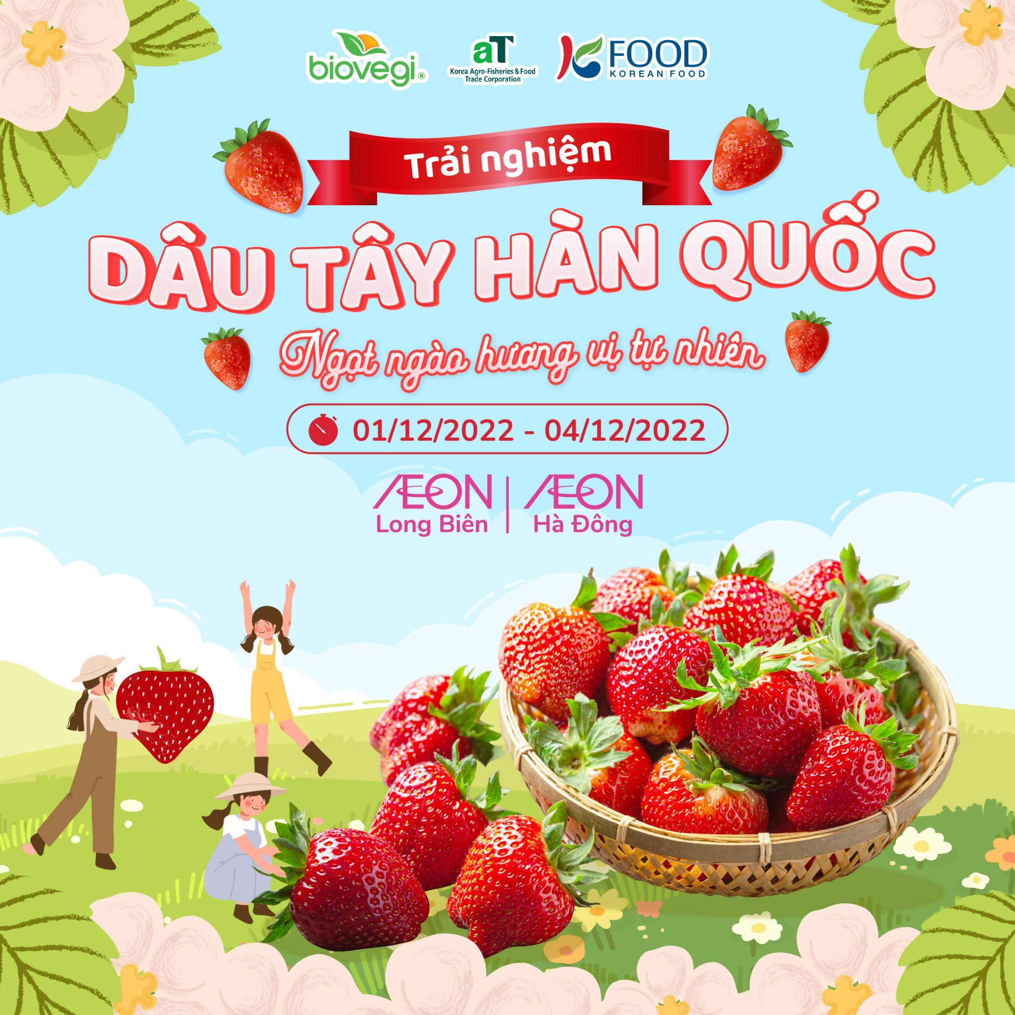 Trải nghiệm không giới hạn dâu tây Hàn Quốc tươi ngon cùng Biovegi Việt Nam